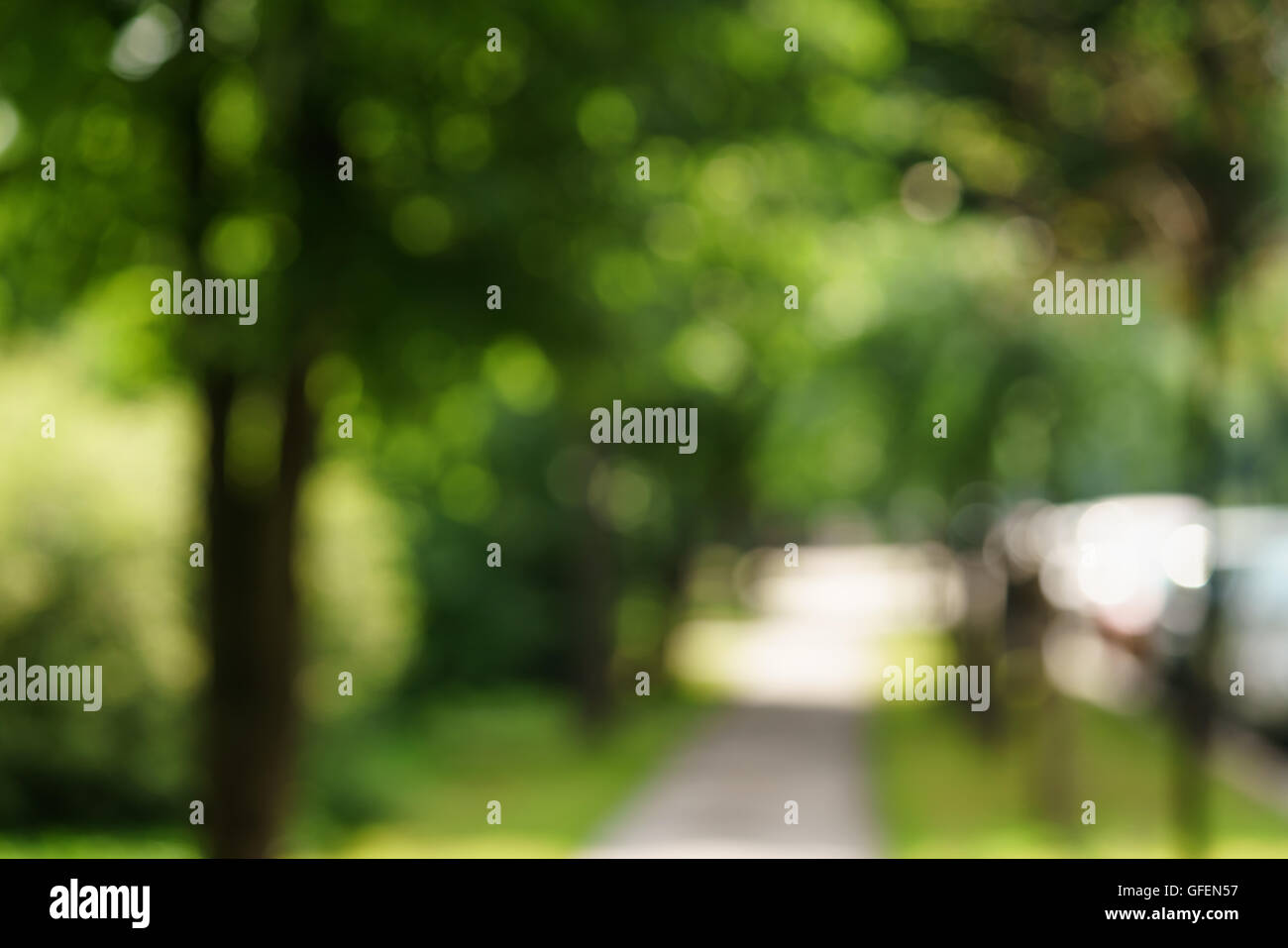 town alley with green trees background Stock Photo - Alamy