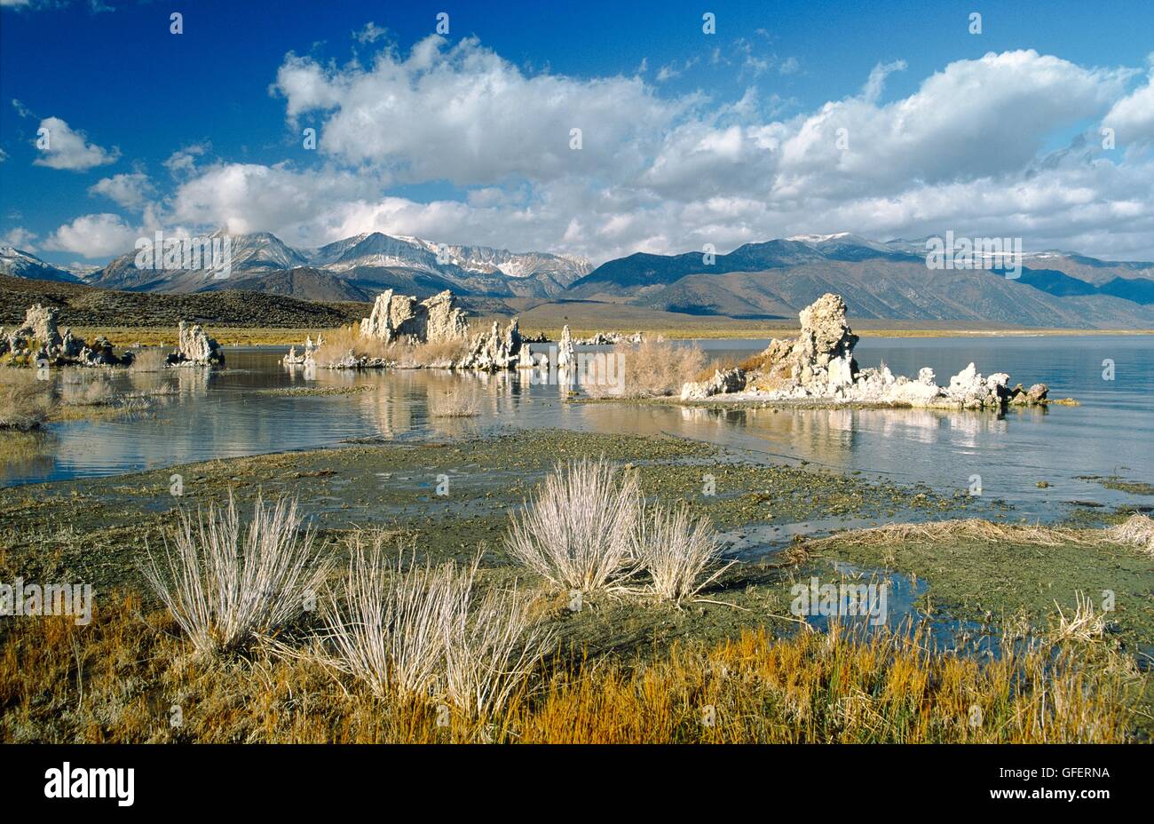 Mono Lake, California, USA. Tufa formations exposed due to lowering of ...