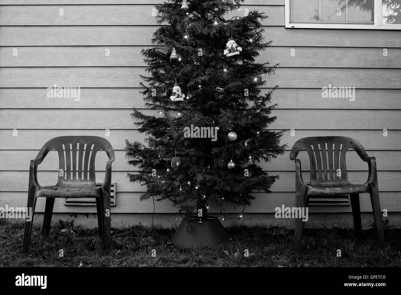 Christmas tree in back yard with lawn chairs and window Stock Photo - Alamy