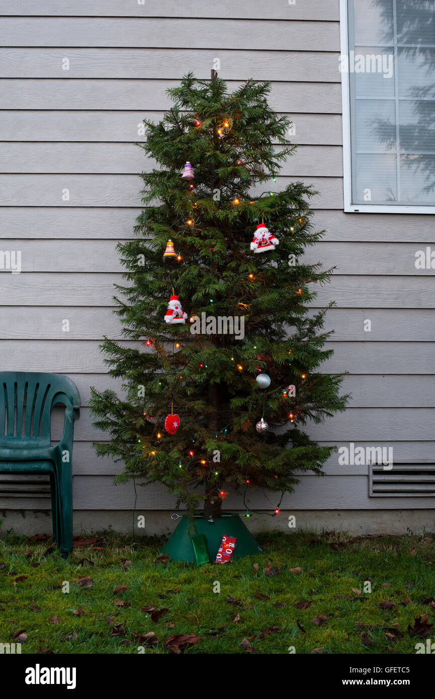 Christmas tree in back yard with lawn chairs and window Stock Photo - Alamy