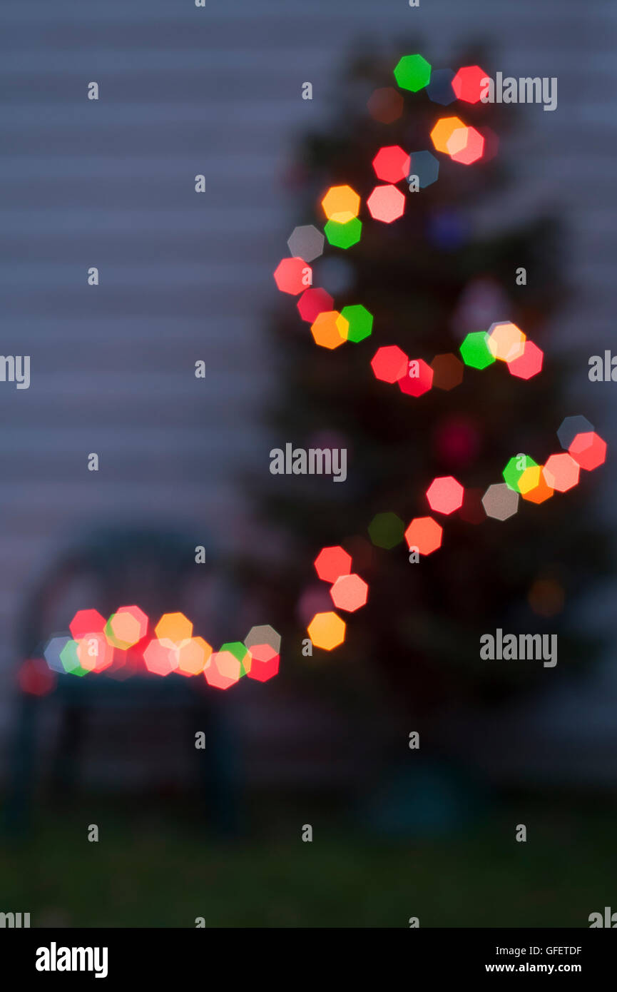 Multicolored Christmas lights and tree soft focus abstract with lawn ...