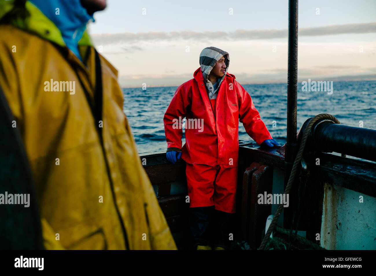 Fishermen working on a prawn trawler off the west coast of Scotland ...
