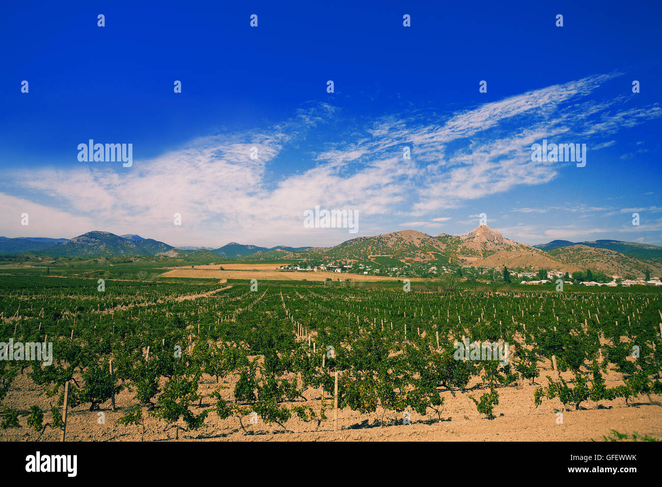 Vineyard valley against mountains and blue sky landscape Stock Photo ...