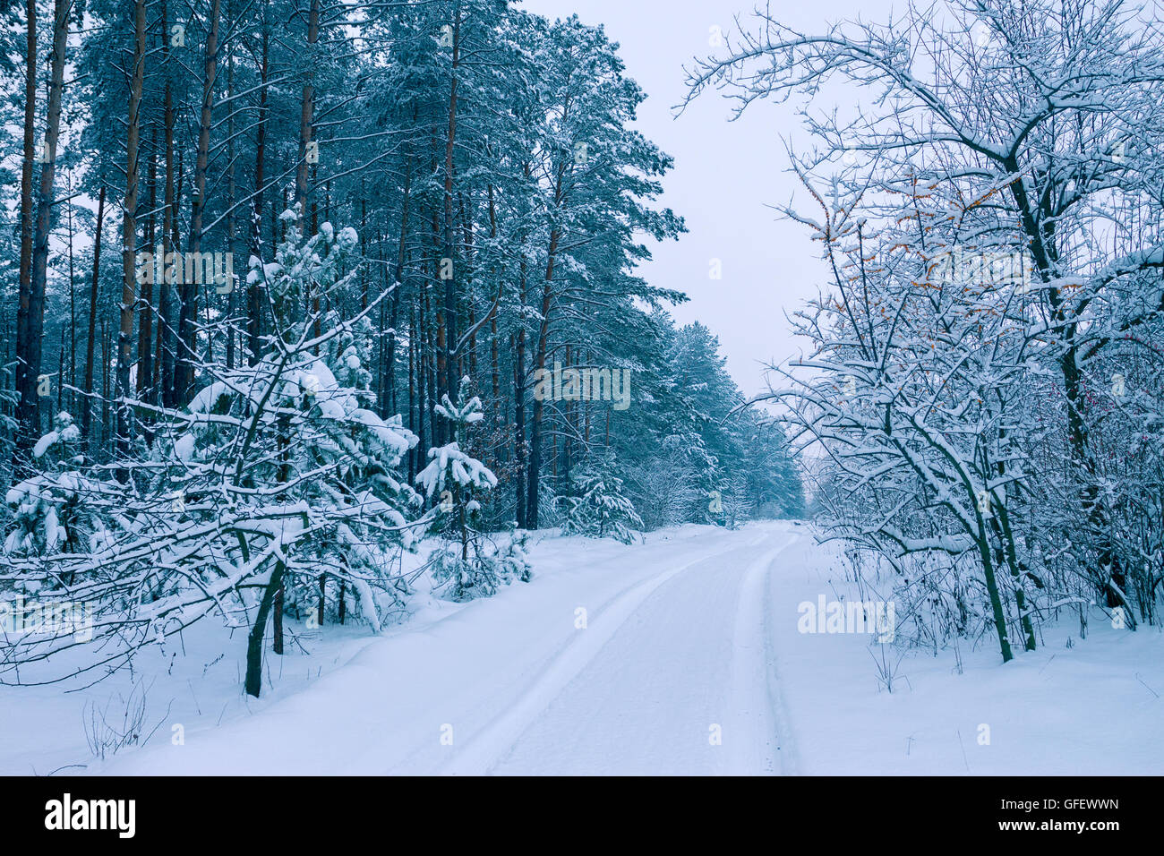 Rural winter hi-res stock photography and images - Alamy