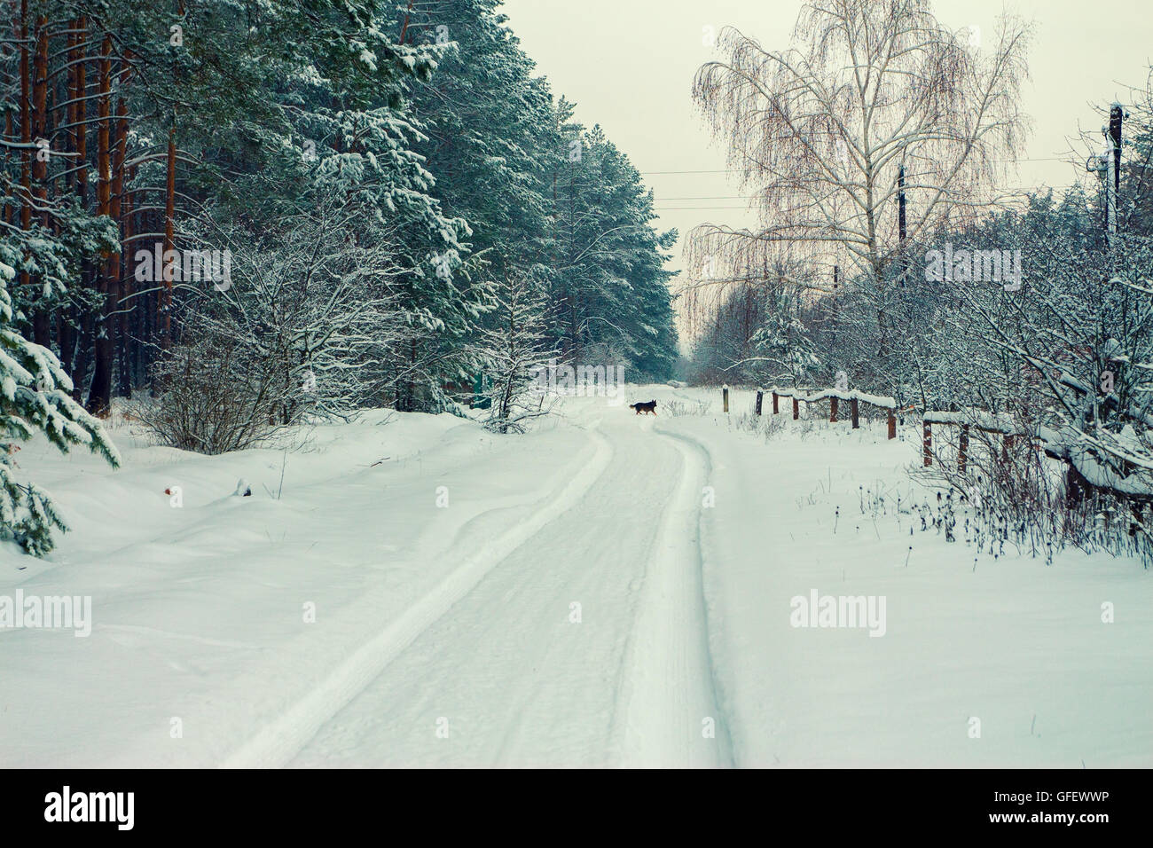 Rural winter hi-res stock photography and images - Alamy
