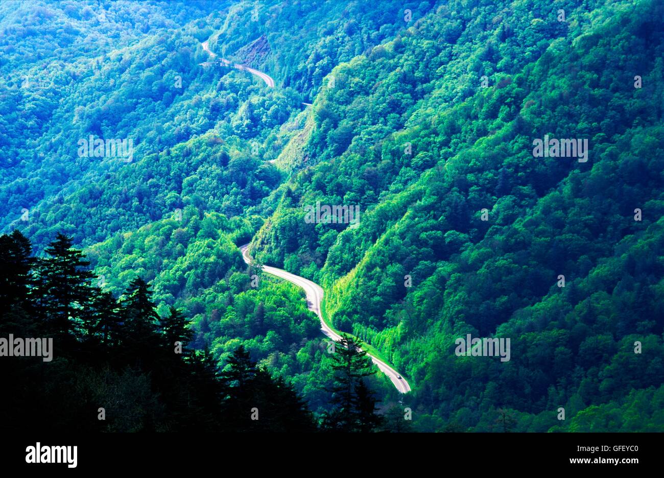 Great Smoky Mountains National Park, Appalachian Range, North Carolina ...