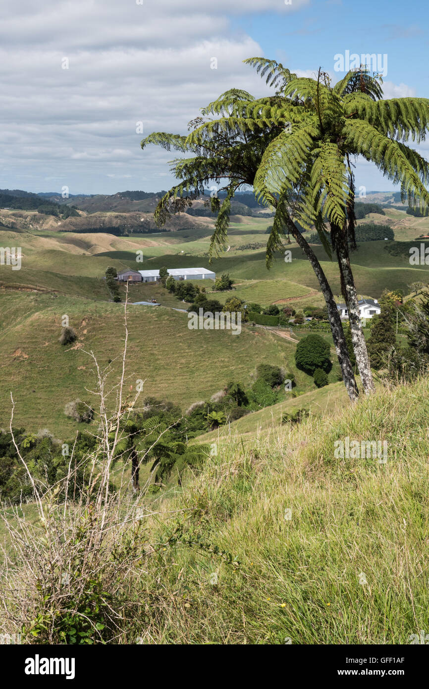 Taranaki area hi-res stock photography and images - Alamy