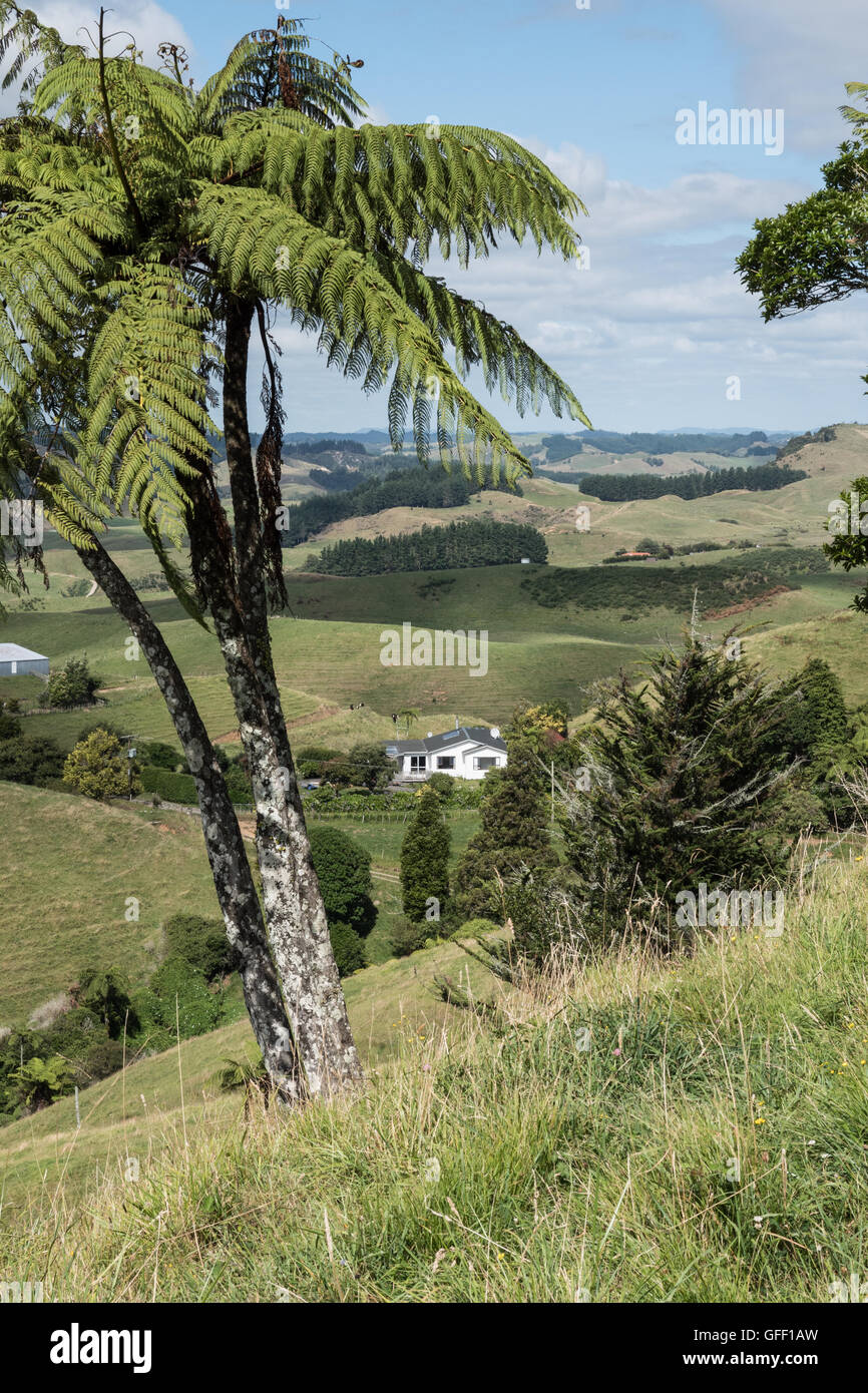 Taranaki area hi-res stock photography and images - Alamy