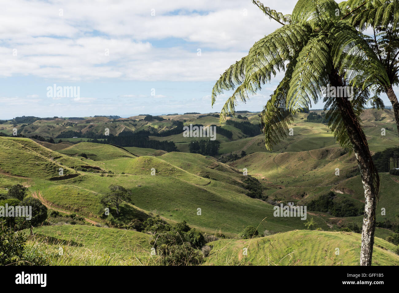 Taranaki area hi-res stock photography and images - Alamy