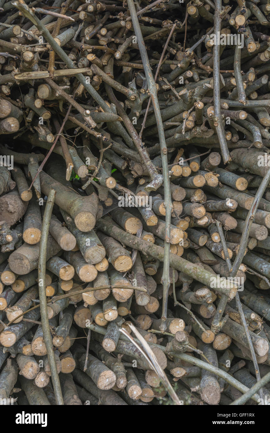 Piles of fuel wood stacked in an outside woodstore Stock Photo - Alamy