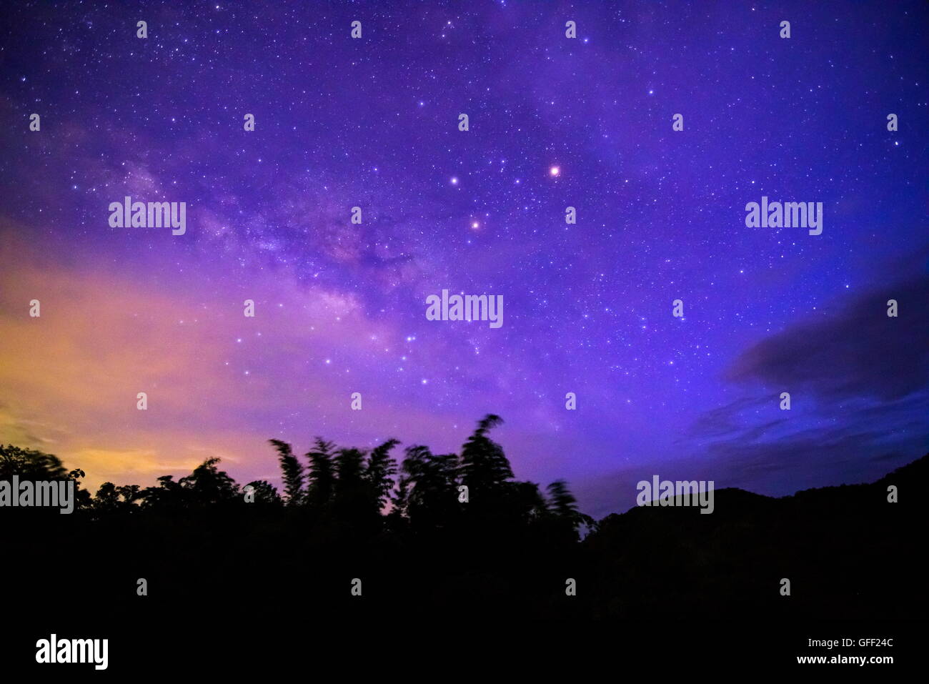 The Milky Way and some trees Stock Photo - Alamy
