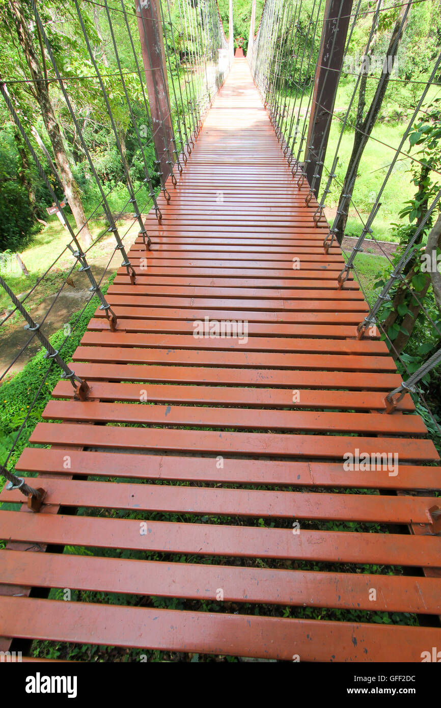 Forest rope bridge hike hi-res stock photography and images - Alamy