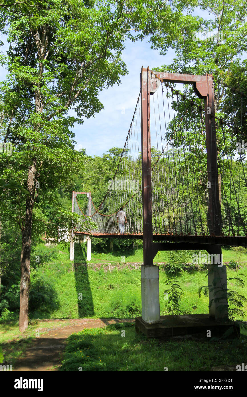 rope bridge or suspension bridge in forest at Khao Kradong Forest Park ...