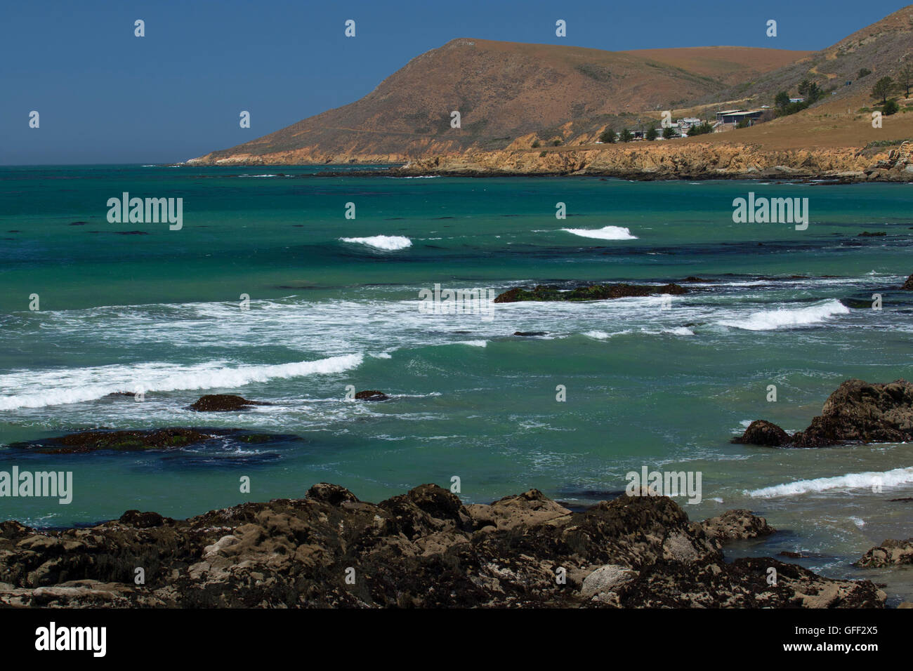 Estero Bluffs State Park High Resolution Stock Photography and Images ...