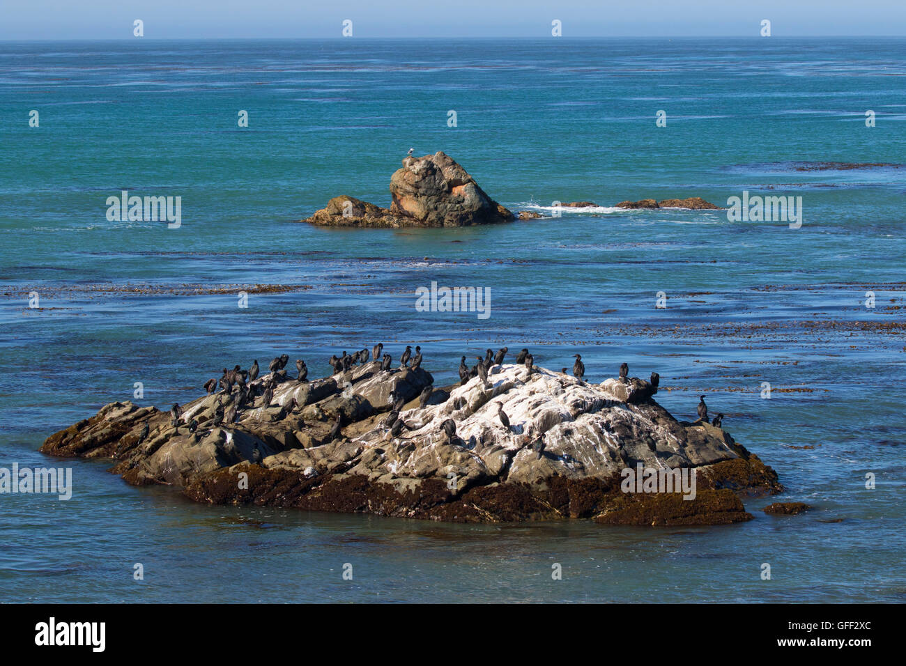 Estero Bluffs State Park High Resolution Stock Photography and Images ...