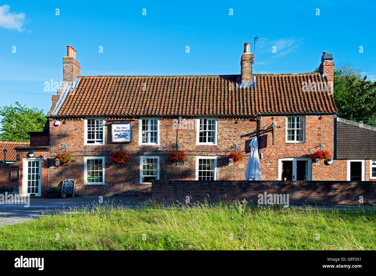 The alice hawthorn hi-res stock photography and images - Alamy