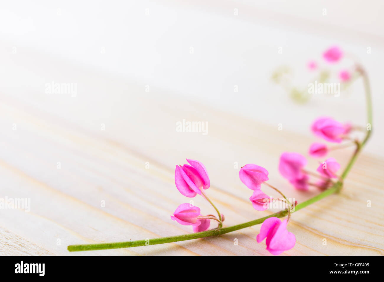 Pink plank hi-res stock photography and images - Alamy