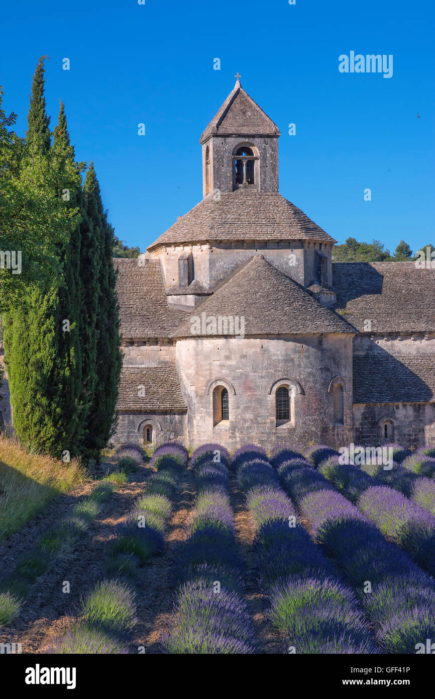 Senanque abbey in Provence, France Stock Photo - Alamy