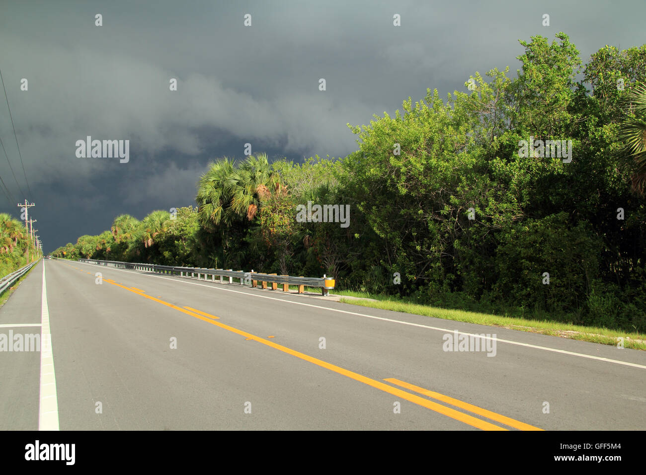 The Tamiami Trail as it crosses the vast Big Cypress Swamp in the ...