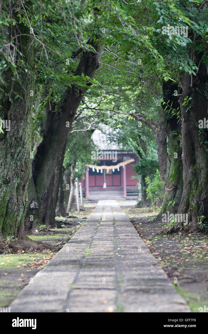 Japanese pilgrimage path hi-res stock photography and images - Alamy
