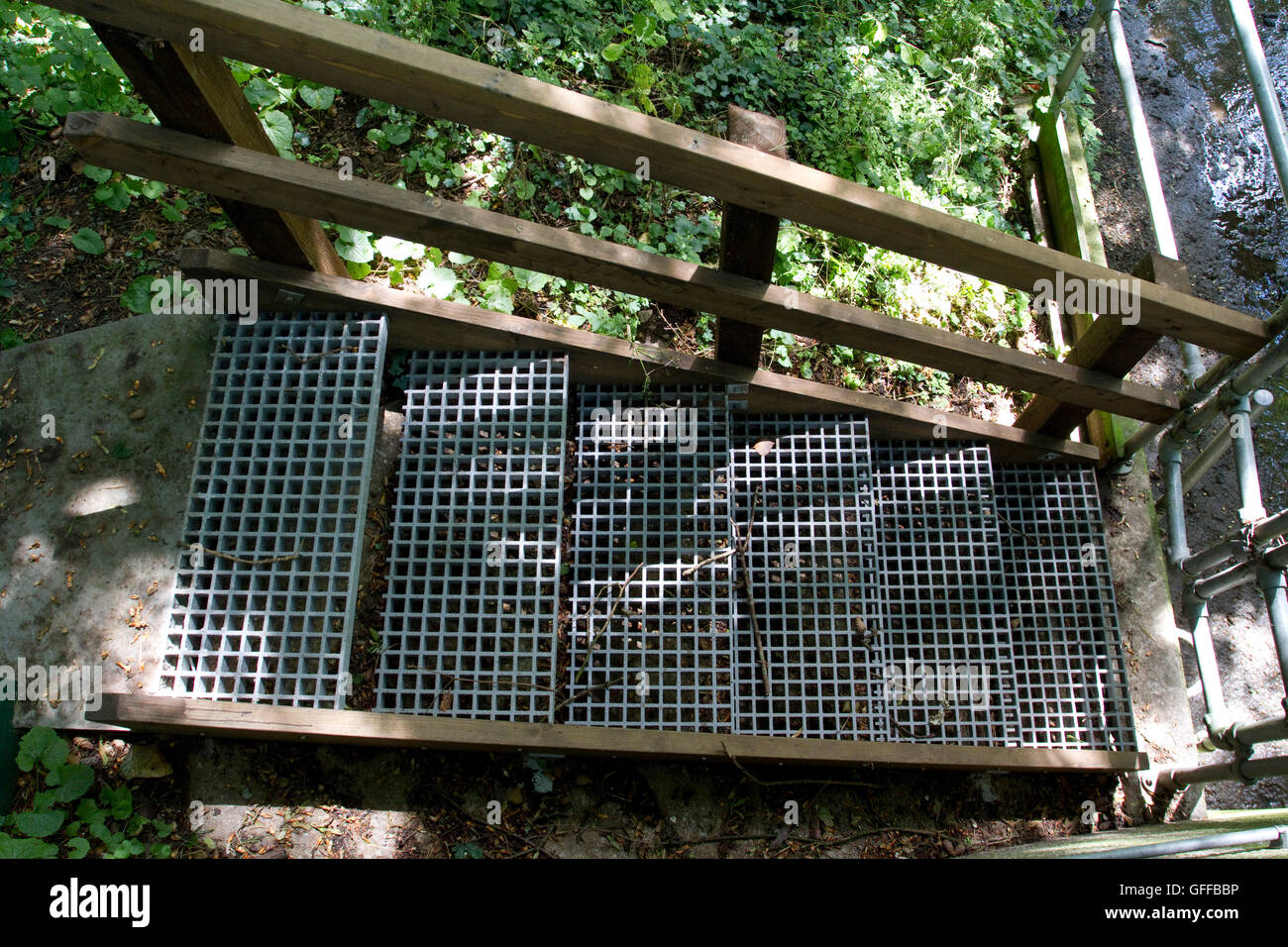 Metal grid steps and wooden banisters giving access to river monitoring ...