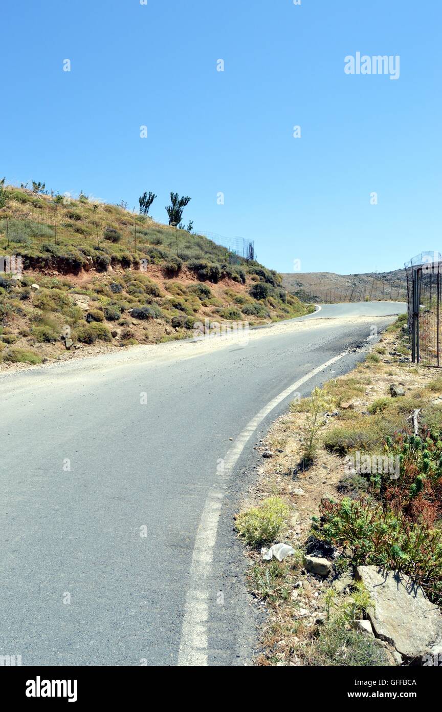 A country road in Crete with trees and of the greenery Stock Photo - Alamy