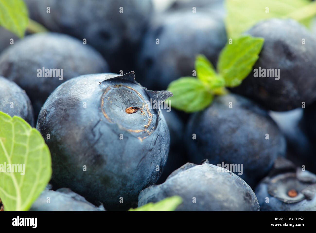 Blueberries grocery store hi-res stock photography and images - Alamy