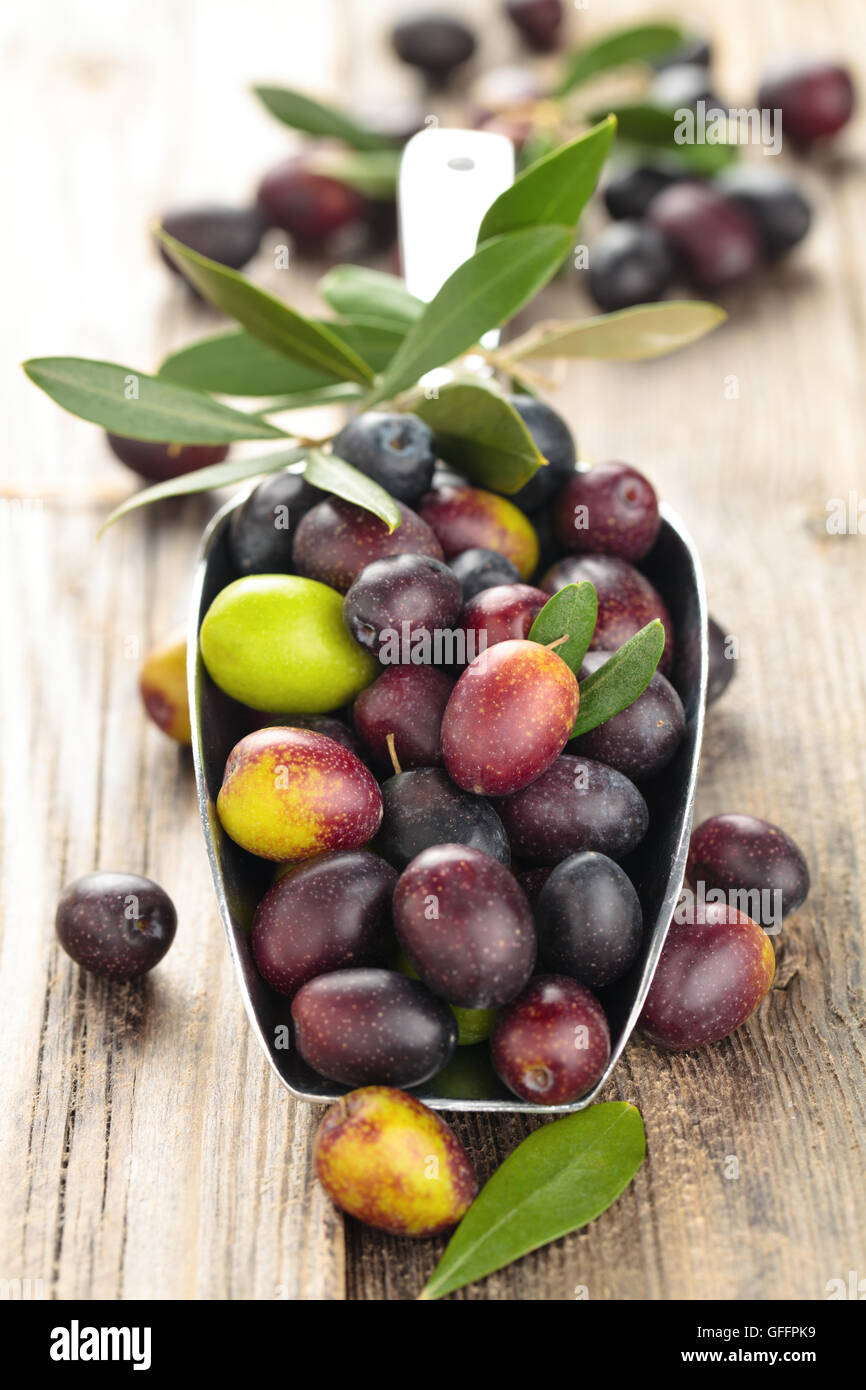 Scoop of fresh green and black olives Stock Photo - Alamy