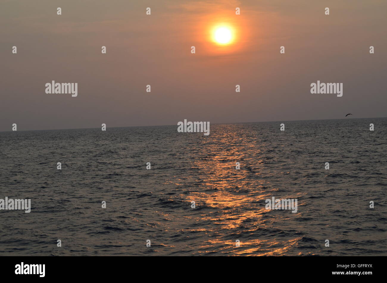 Sunset from ship Stock Photo - Alamy