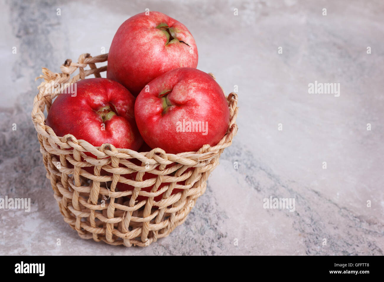 Tropical fruit Acmella oleracea (toothache plant, paracress, electric ...
