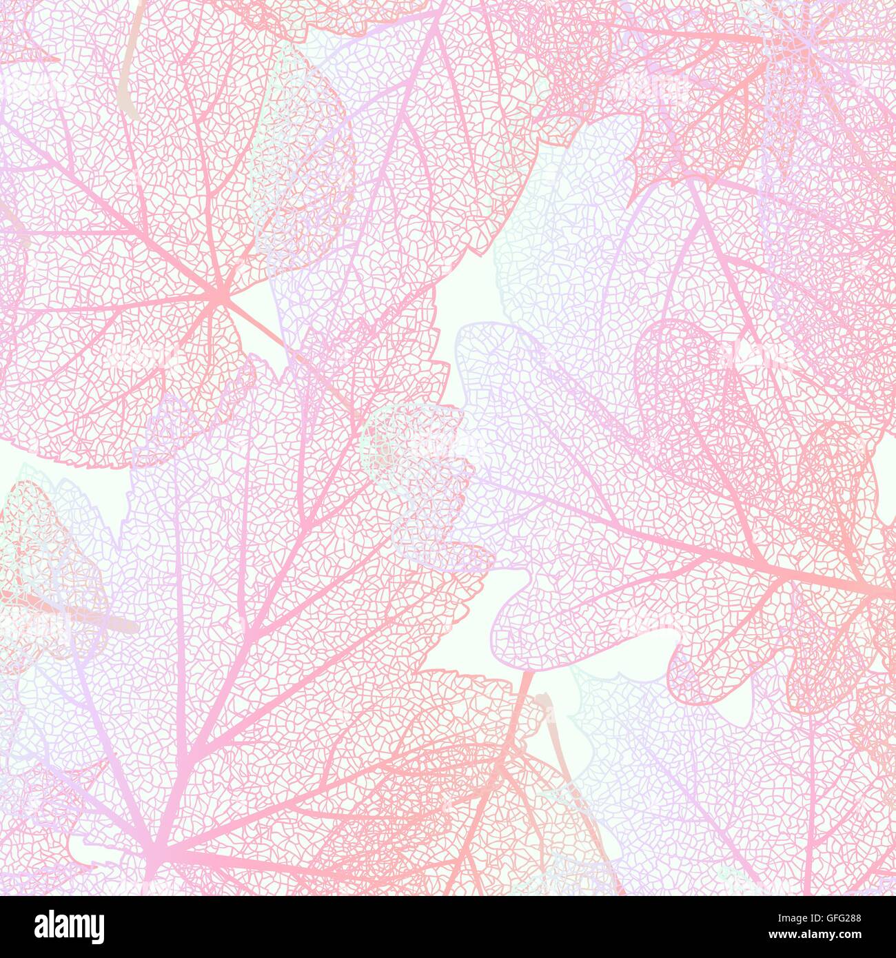 Detailed leaf structure Stock Vector Images - Alamy