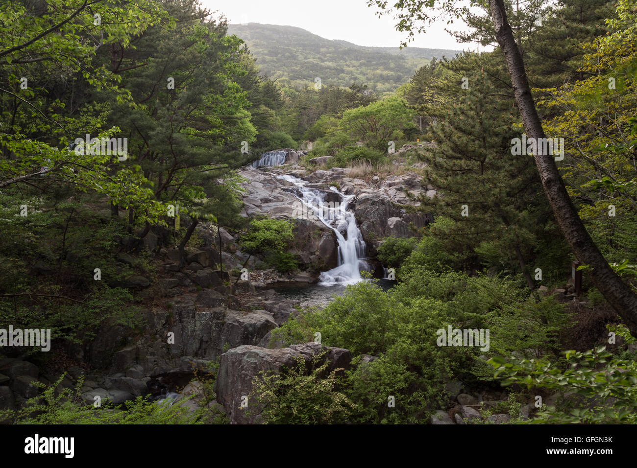 Verdant forest and small waterfalls at the Jangsan Mountain in Busan ...