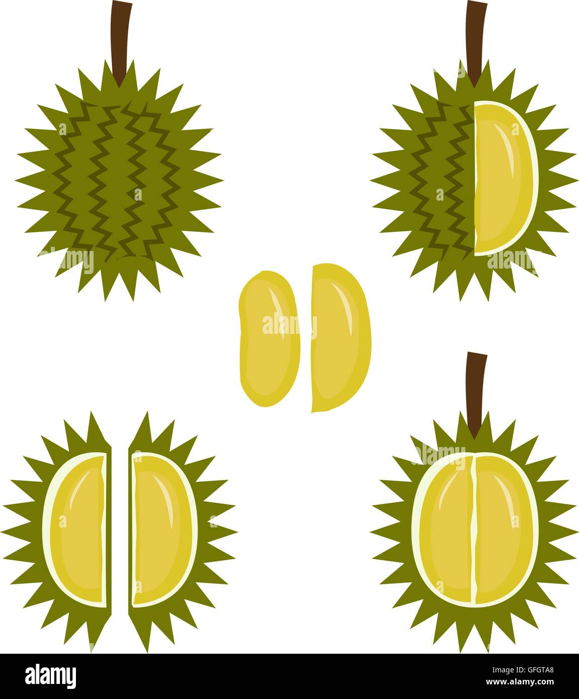 Durian fruit icon in flat style, vector Stock Vector Image & Art - Alamy