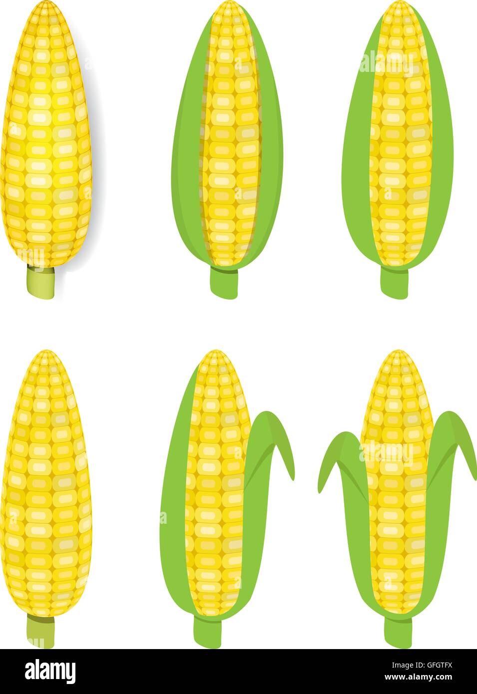 Yellow corn in flat and realistic style, vector Stock Vector Image ...