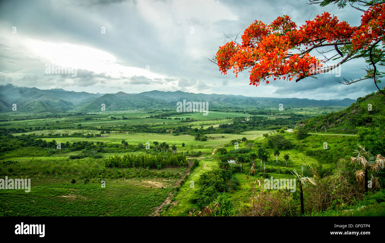 Cuban countryside hi-res stock photography and images - Alamy