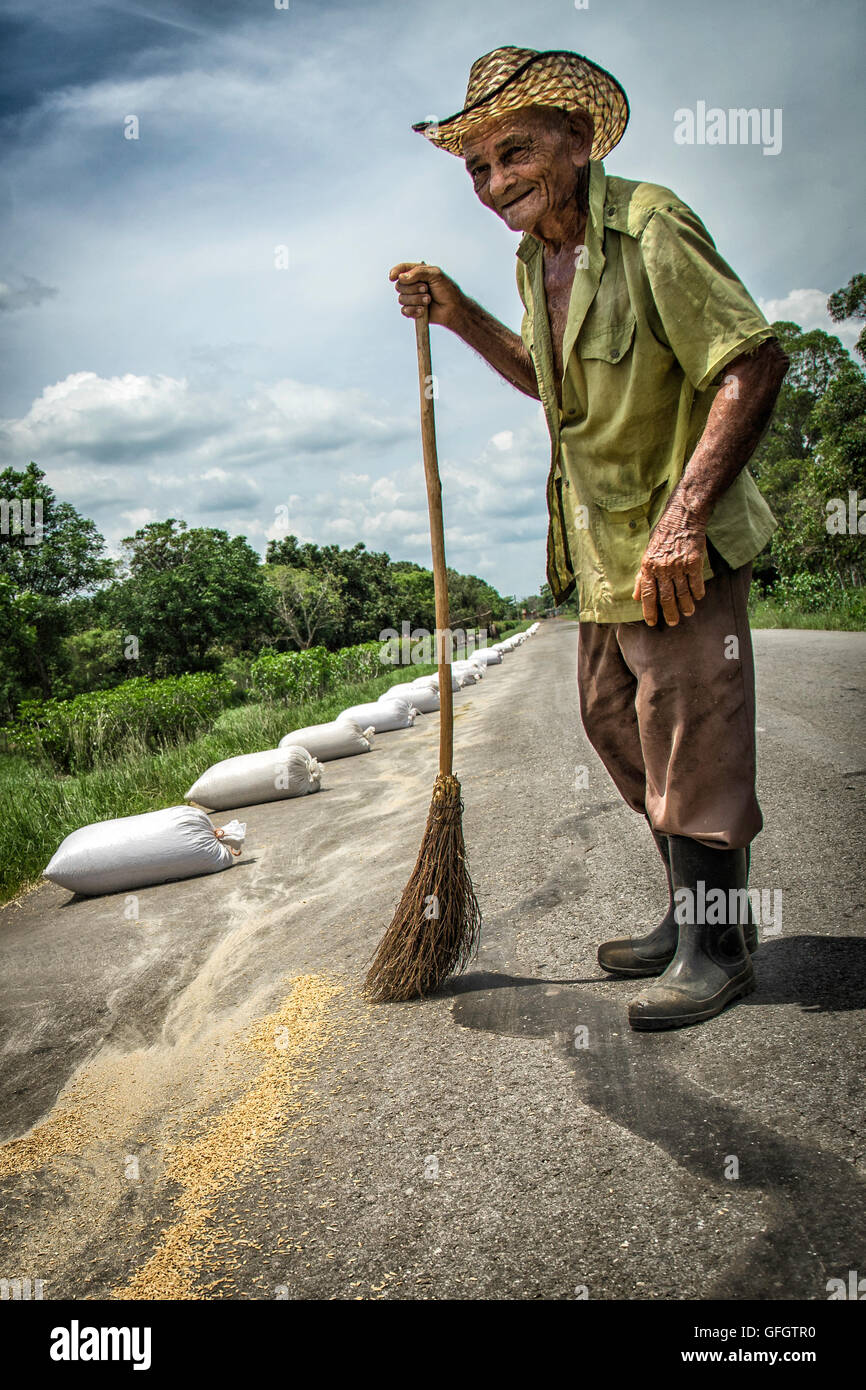 An old man drying rice in the road Stock Photo - Alamy