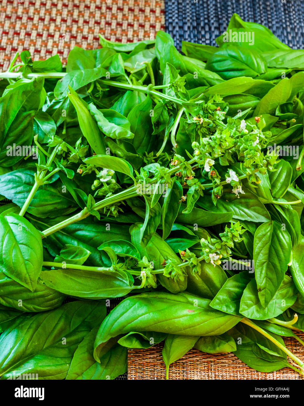 Fresh cut basil leaves hi-res stock photography and images - Alamy