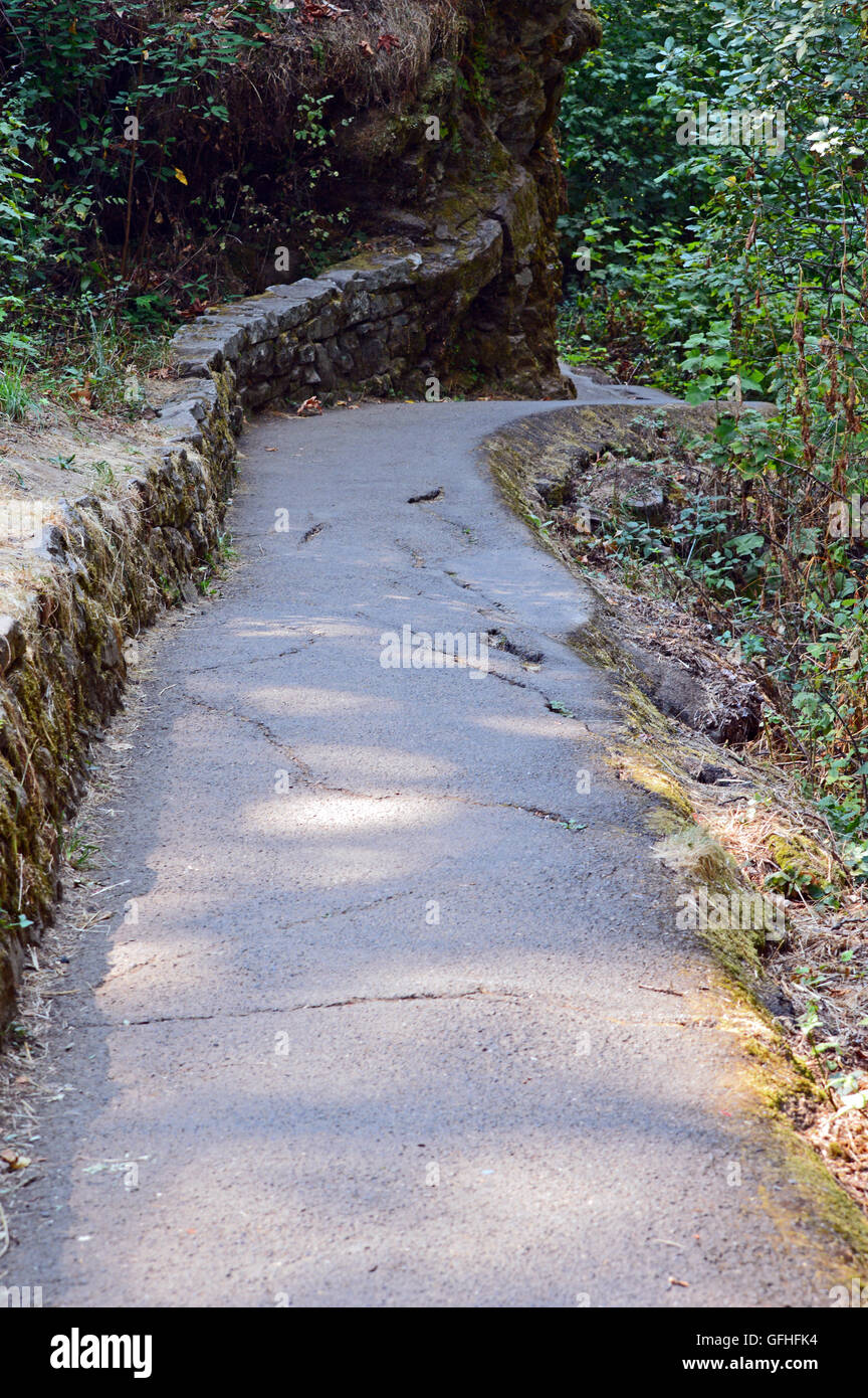 Old broken concrete path Stock Photo - Alamy
