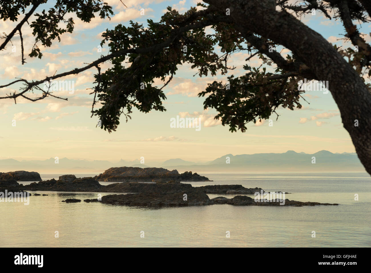 Evening at Neck Point Stock Photo - Alamy