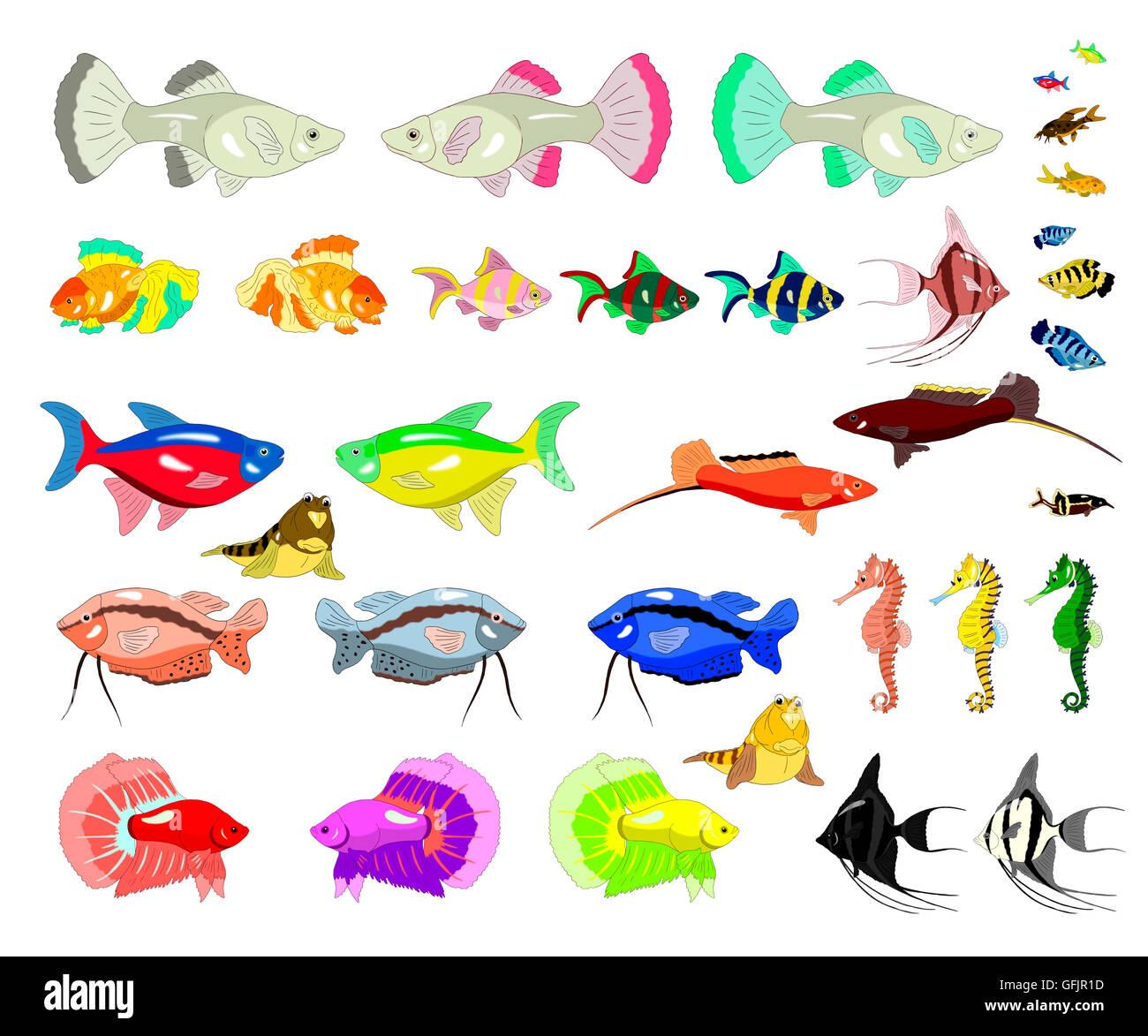 Set of Aquarium Fish separate images Stock Photo - Alamy