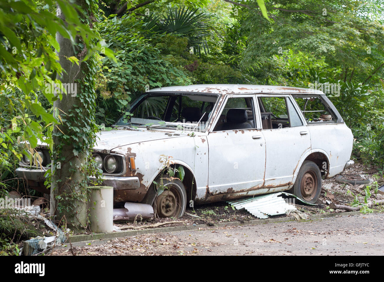 Abandoned old white rusty car Stock Photo - Alamy