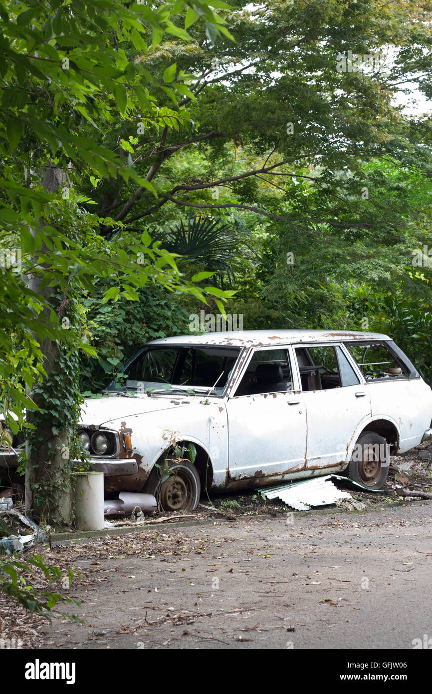 Abandoned old white rusty car Stock Photo - Alamy