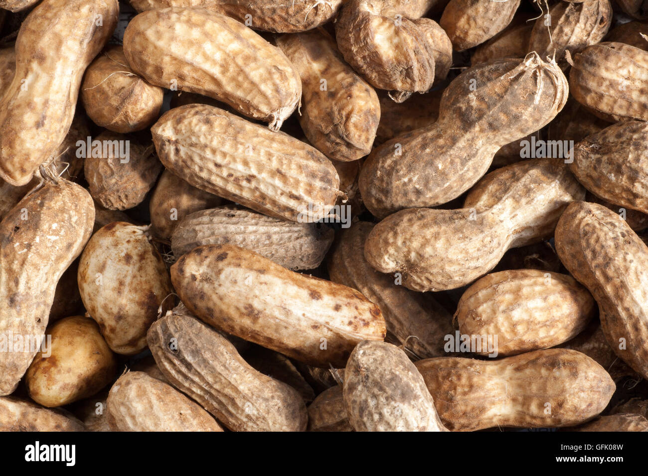 peanut hulls in full frame Stock Photo - Alamy