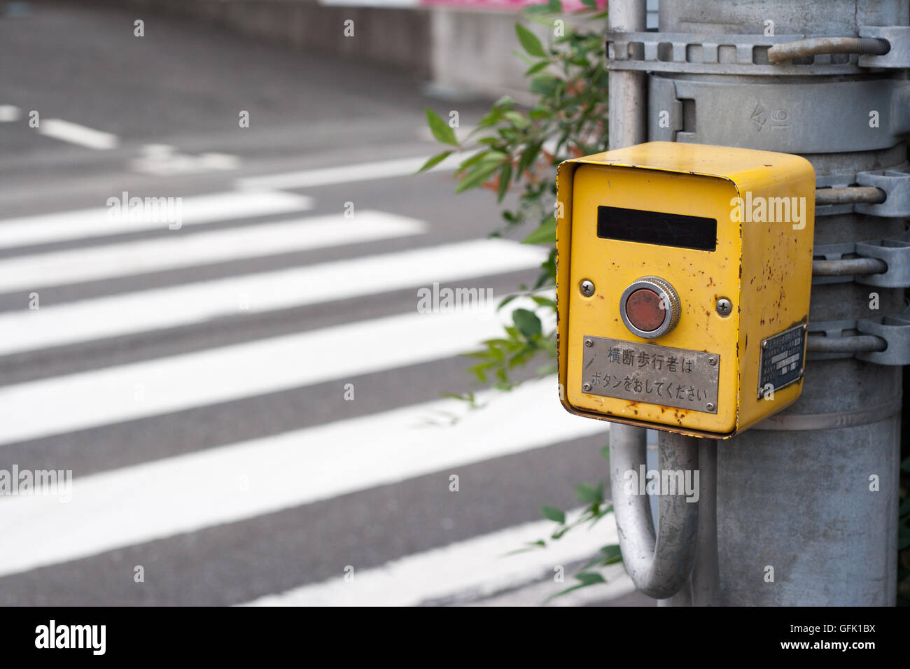Japanese pedestrian control signal at zebra zone Stock Photo - Alamy