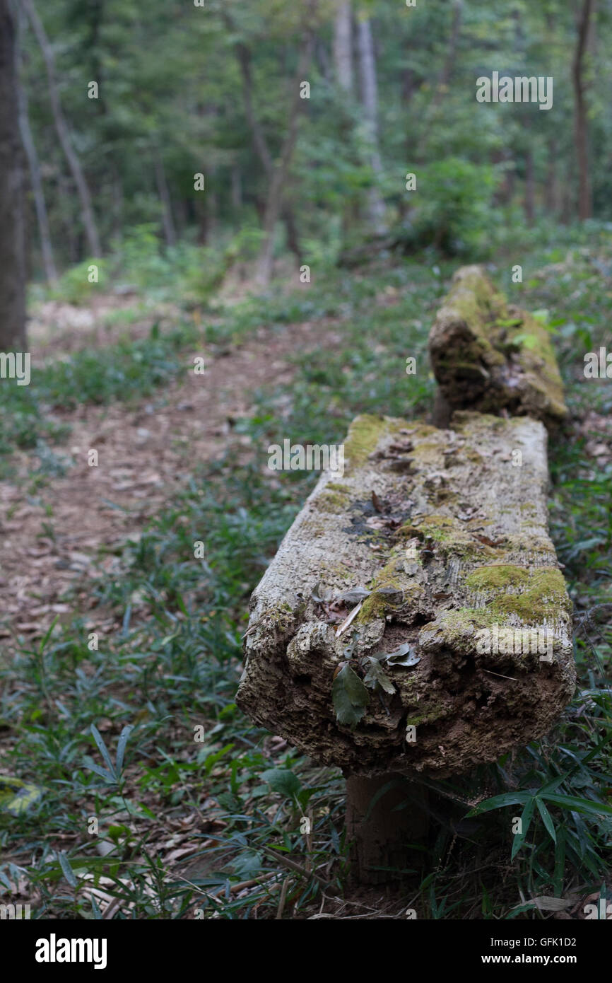 Wooden log bench hi-res stock photography and images - Alamy