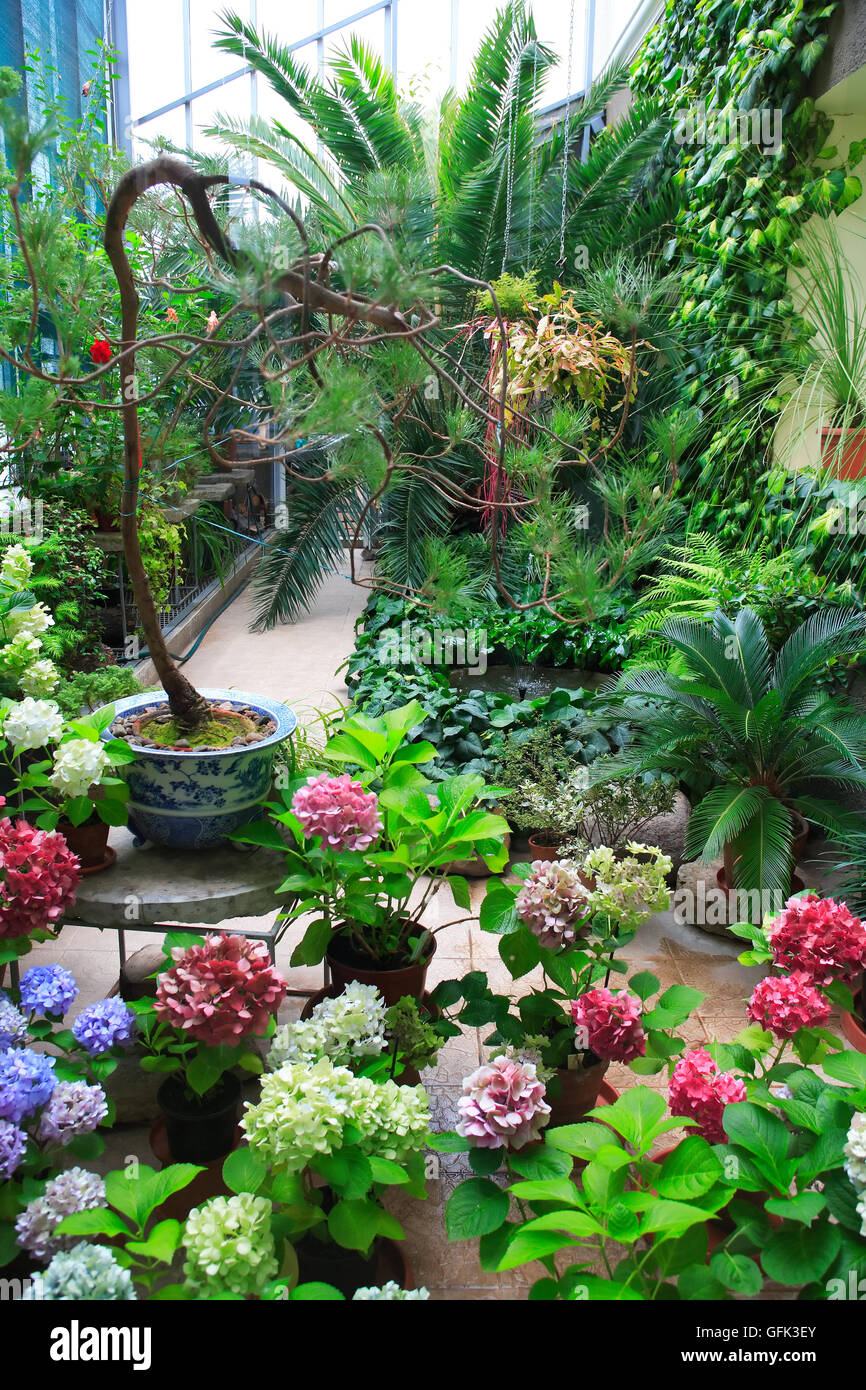 Various tropical plants and flowers inside big winter garden Stock ...