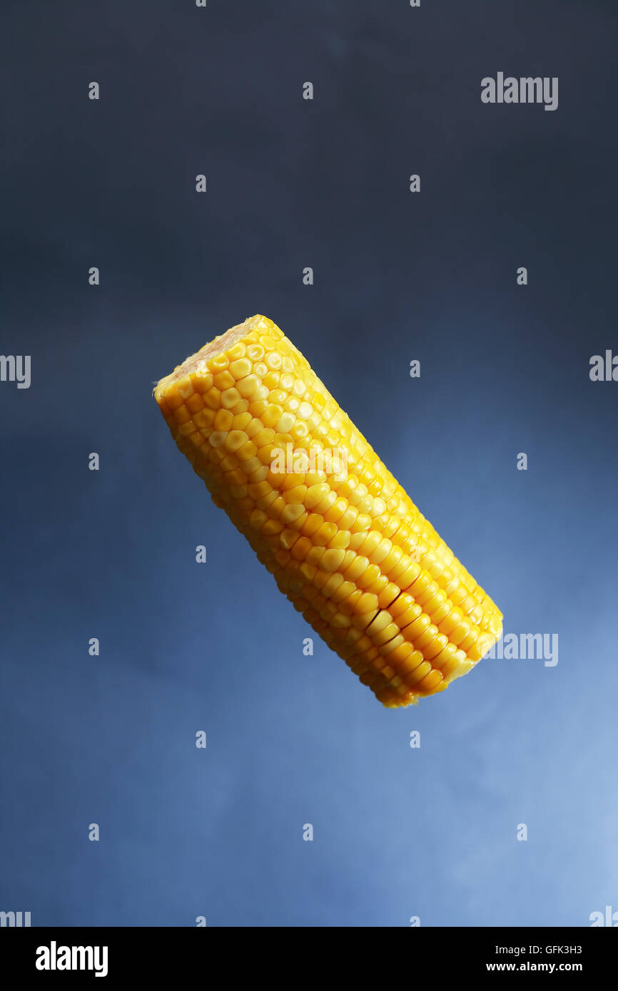 Cooking concept. Corn cob flying against nice dark background Stock ...