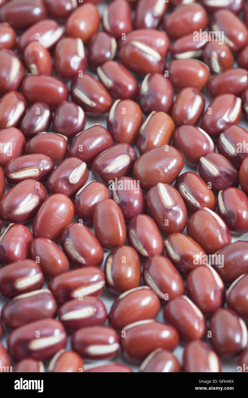 Japanese red beans in full frame Stock Photo - Alamy