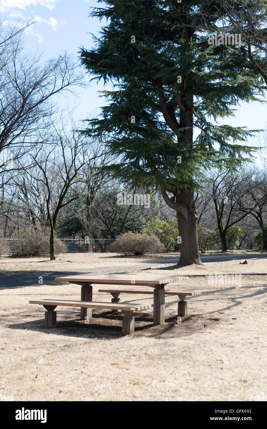 Picnic table park hi-res stock photography and images - Alamy