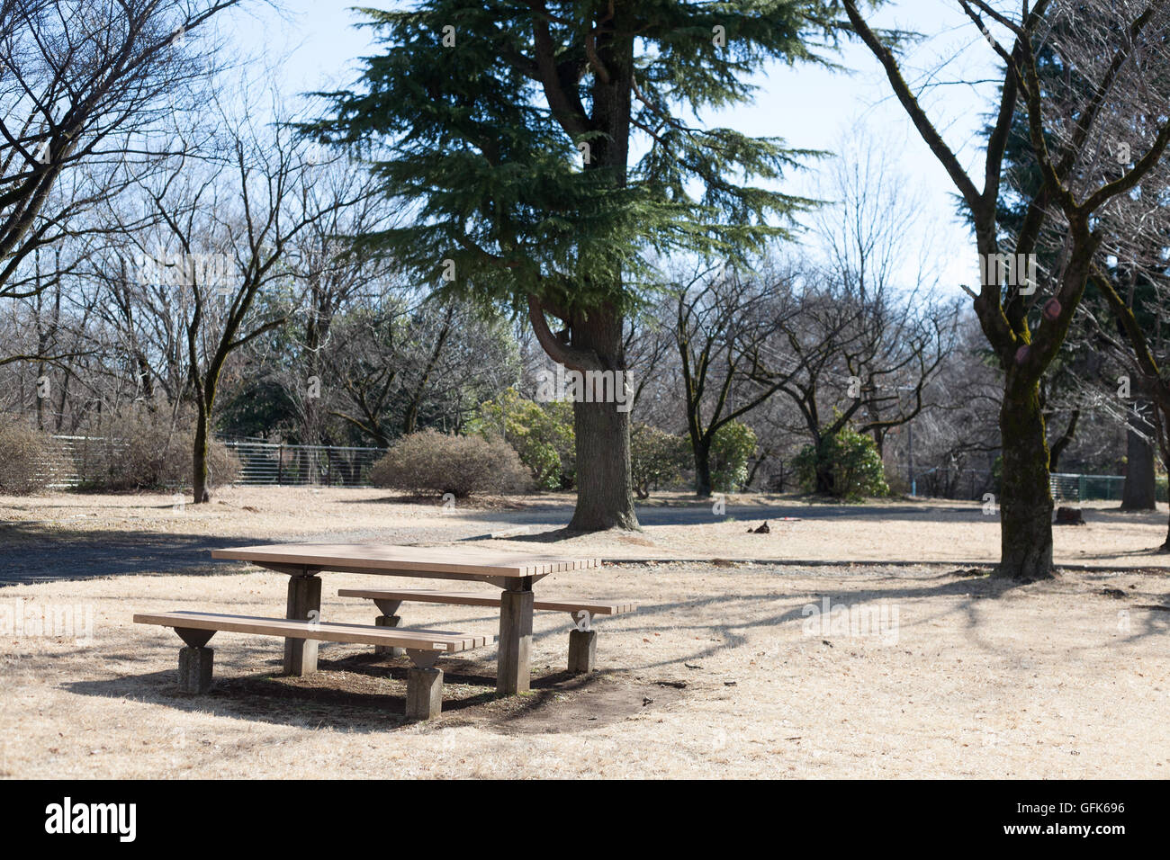 Wooden picnic table in the park Stock Photo - Alamy